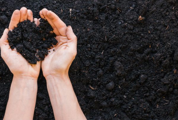 Lootah Agriculture & Farming - Lootah Group