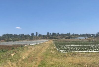 Lootah Agriculture & Farming - Lootah Group